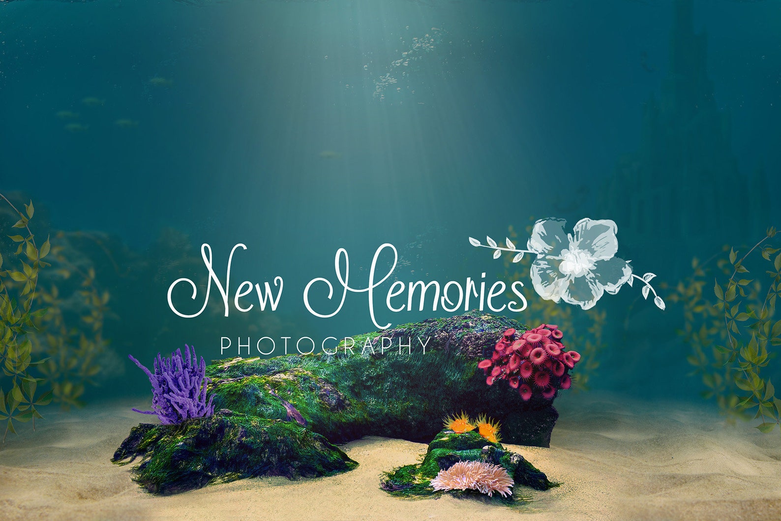 Under Water Digital Backdrop Ocean Digital Background - Etsy
