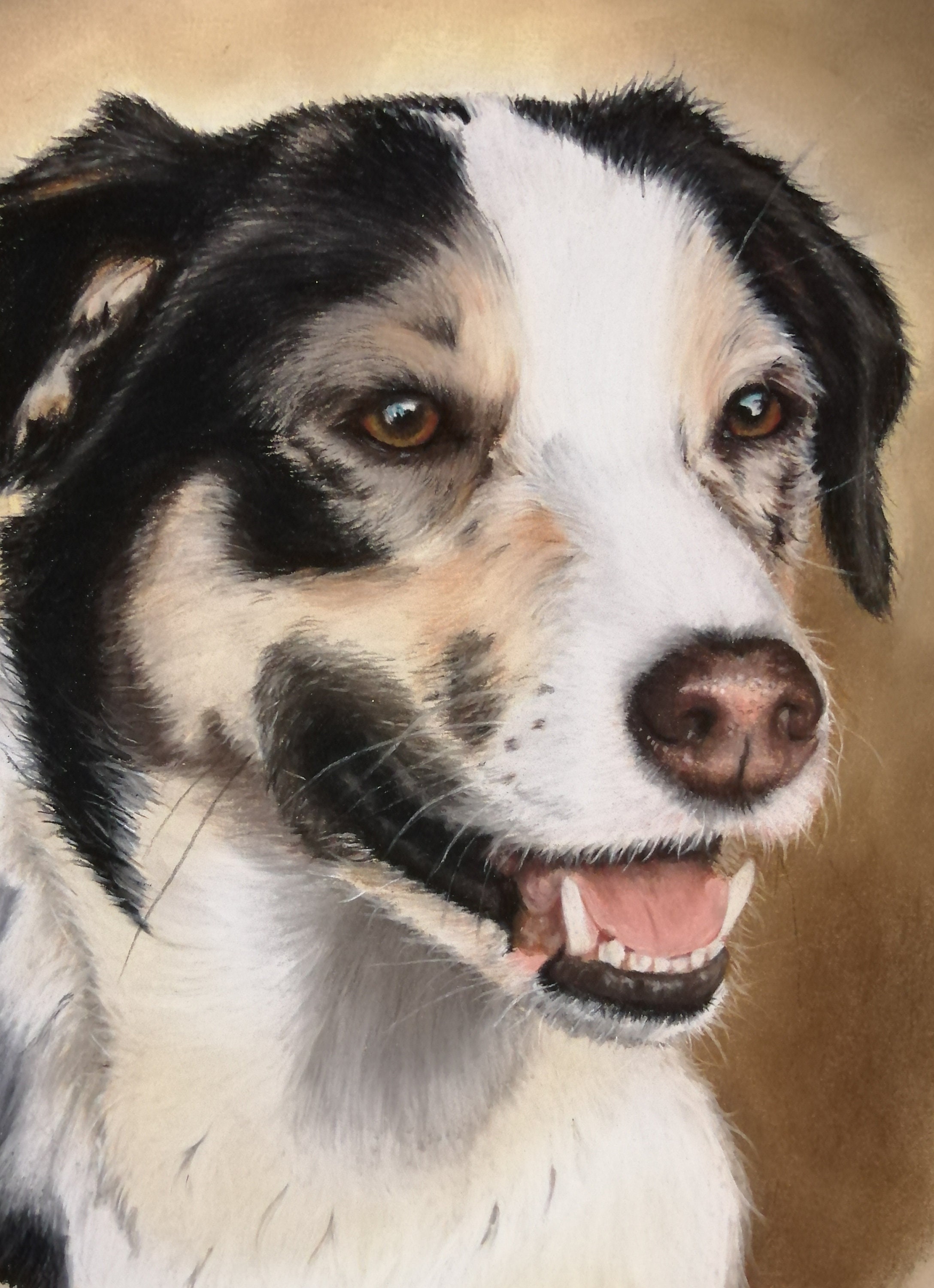 Custom Pet Portrait in Pastel From Photograph - Etsy