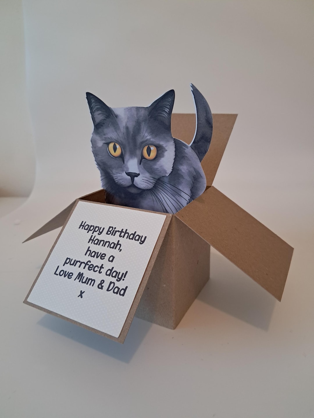 Cat Pop up Birthday Card. Cat in a Box. Various Breeds, Personalised ...