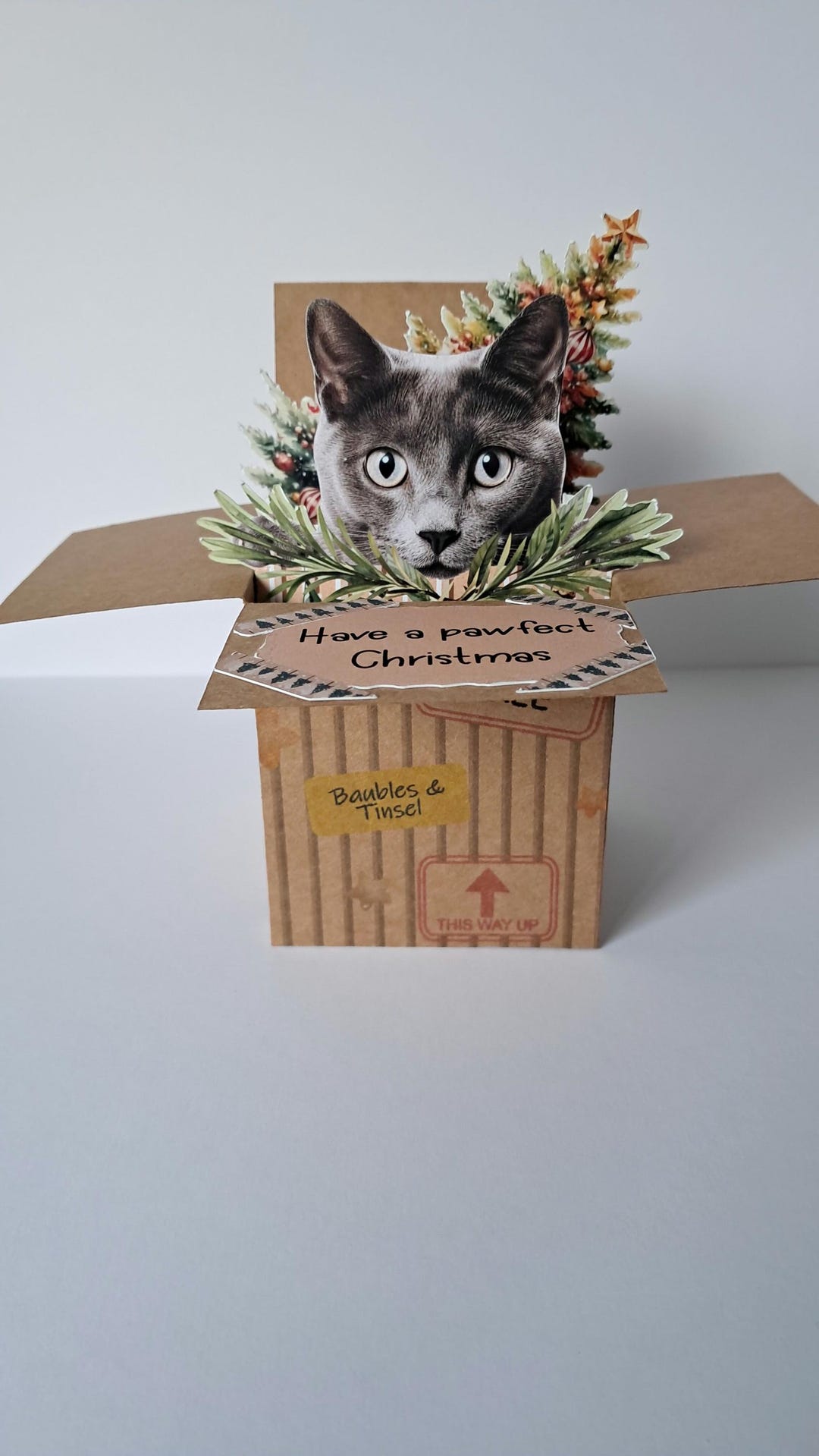 Personalised Cat Christmas Pop up Card: Mischief Cat in Box - Etsy