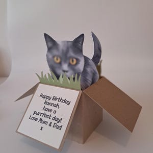 Cat Pop up Birthday Card. Cat in a Box. Various Breeds, Personalised ...