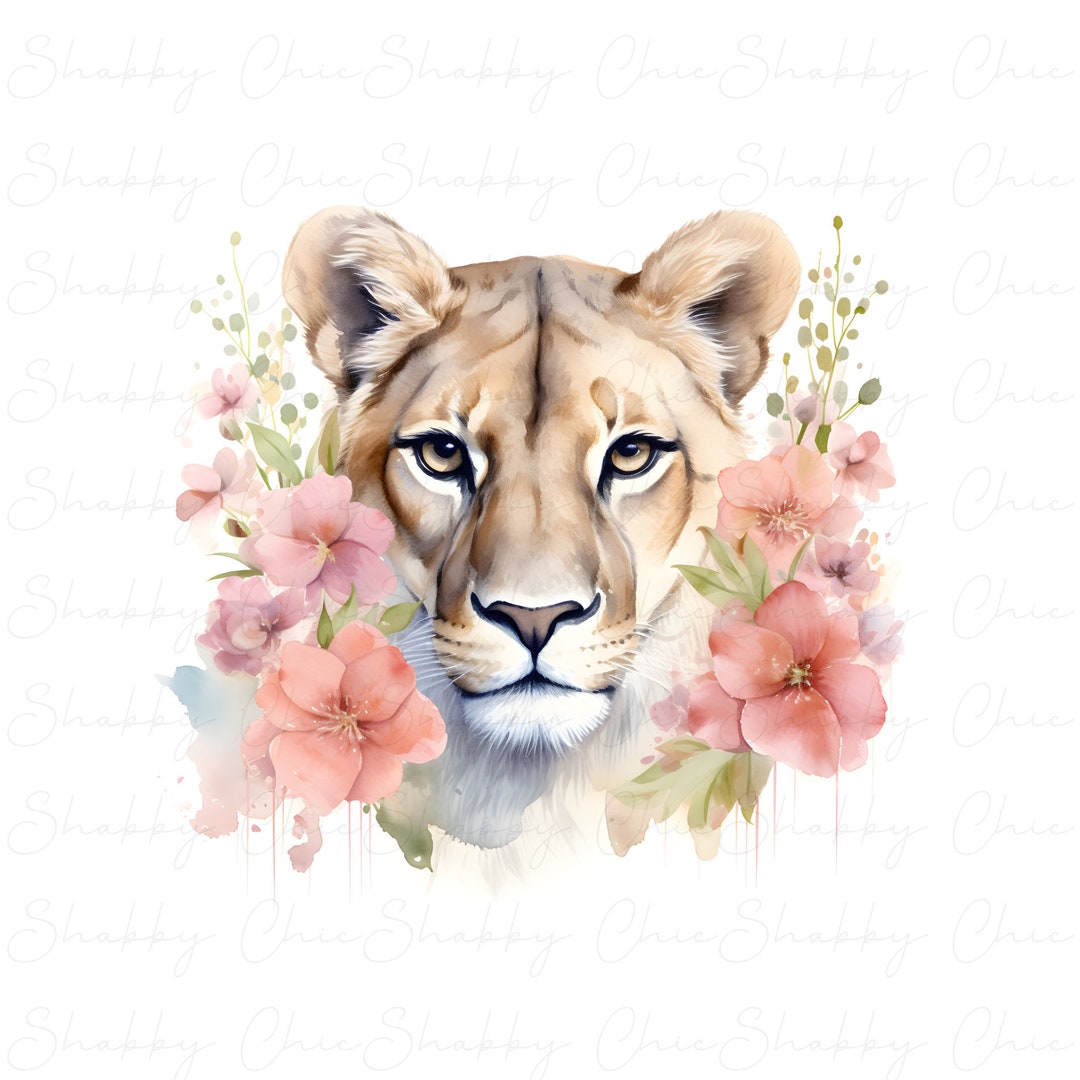 Lioness Floral Clipart, 4 JPEG Clipart Designs, Watercolour Clipart ...
