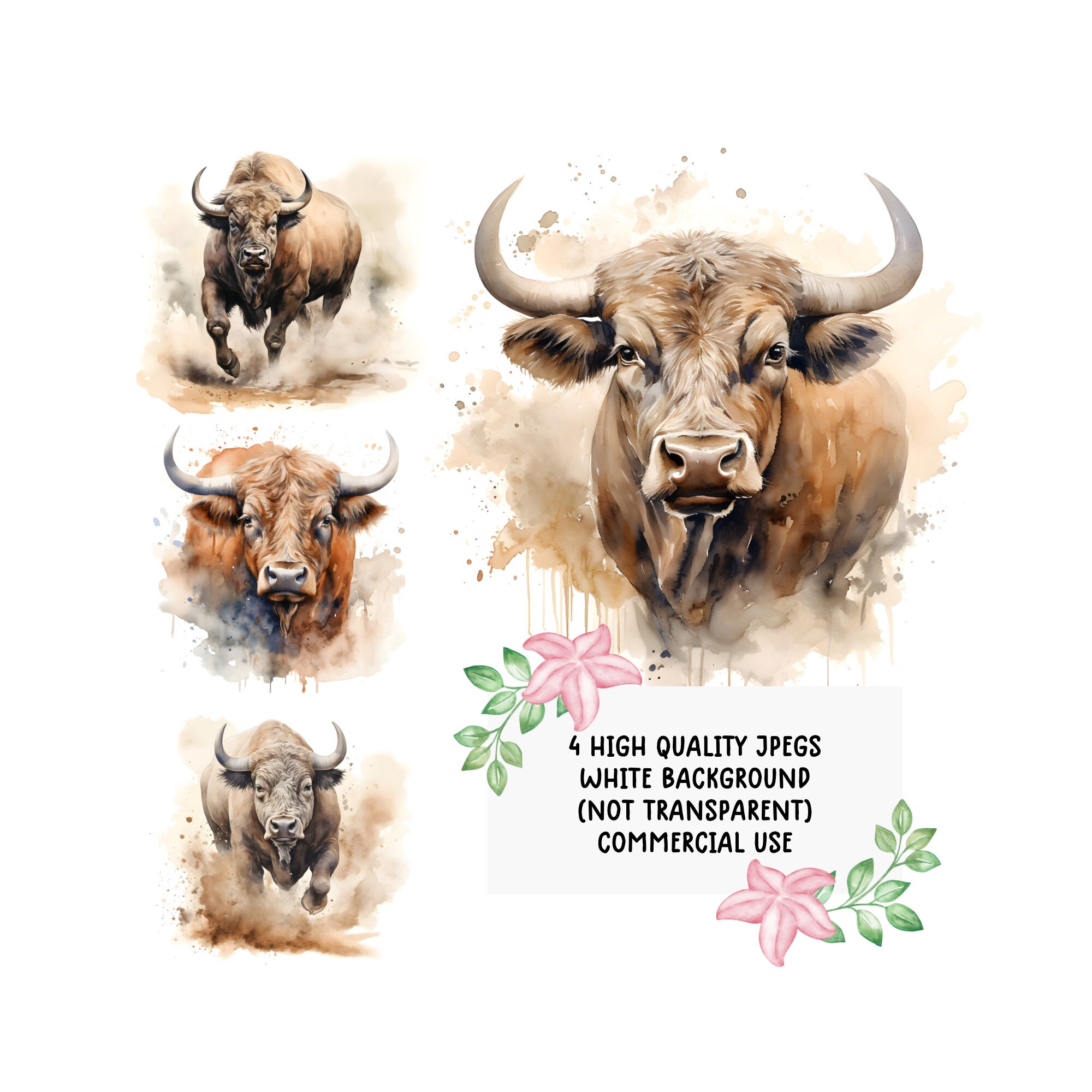 Buffalo Clipart, 4 JPEG Clipart Designs, Watercolour Clipart Graphic ...