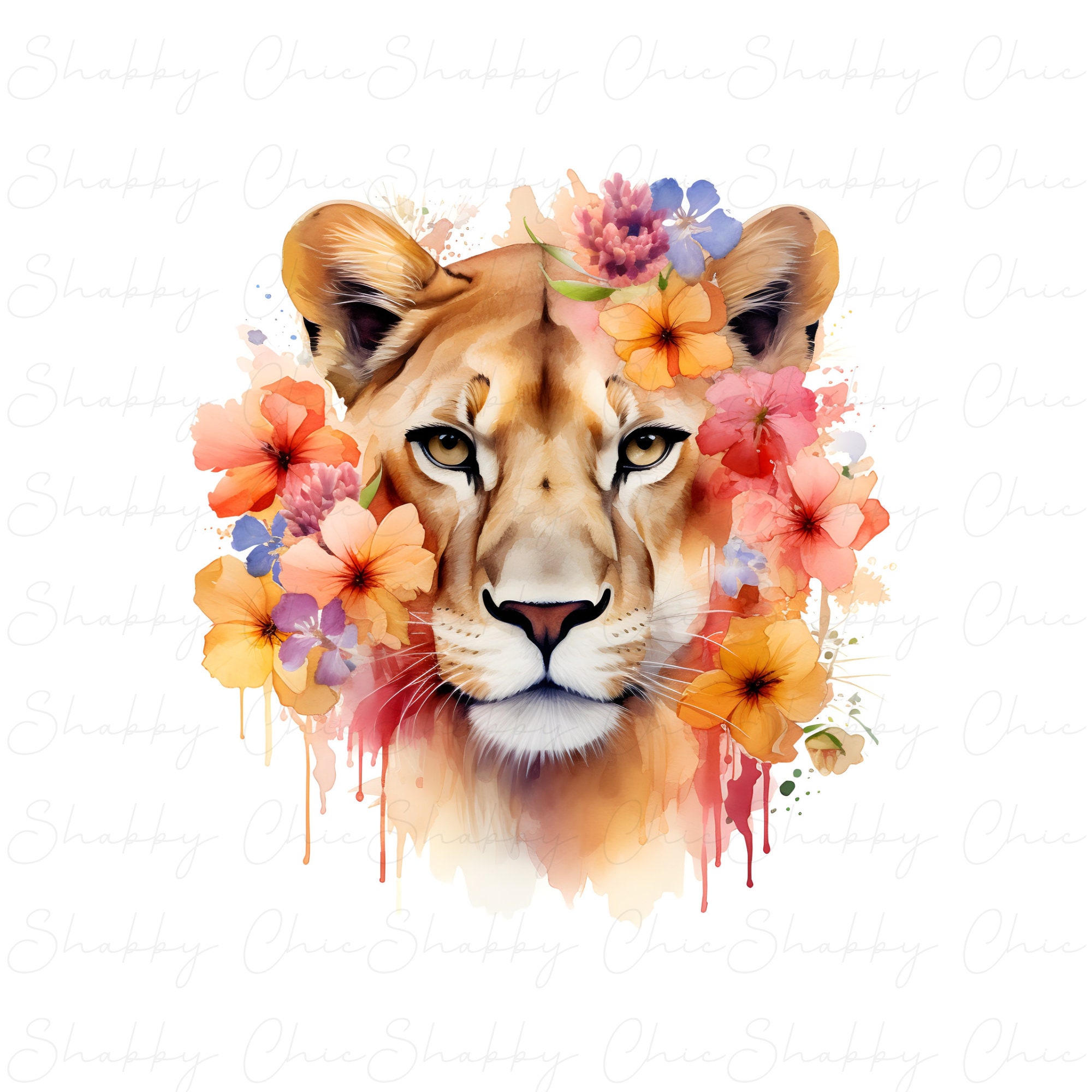 Lioness clipart, 4 JPEG clipart designs, watercolour clipart graphic ...