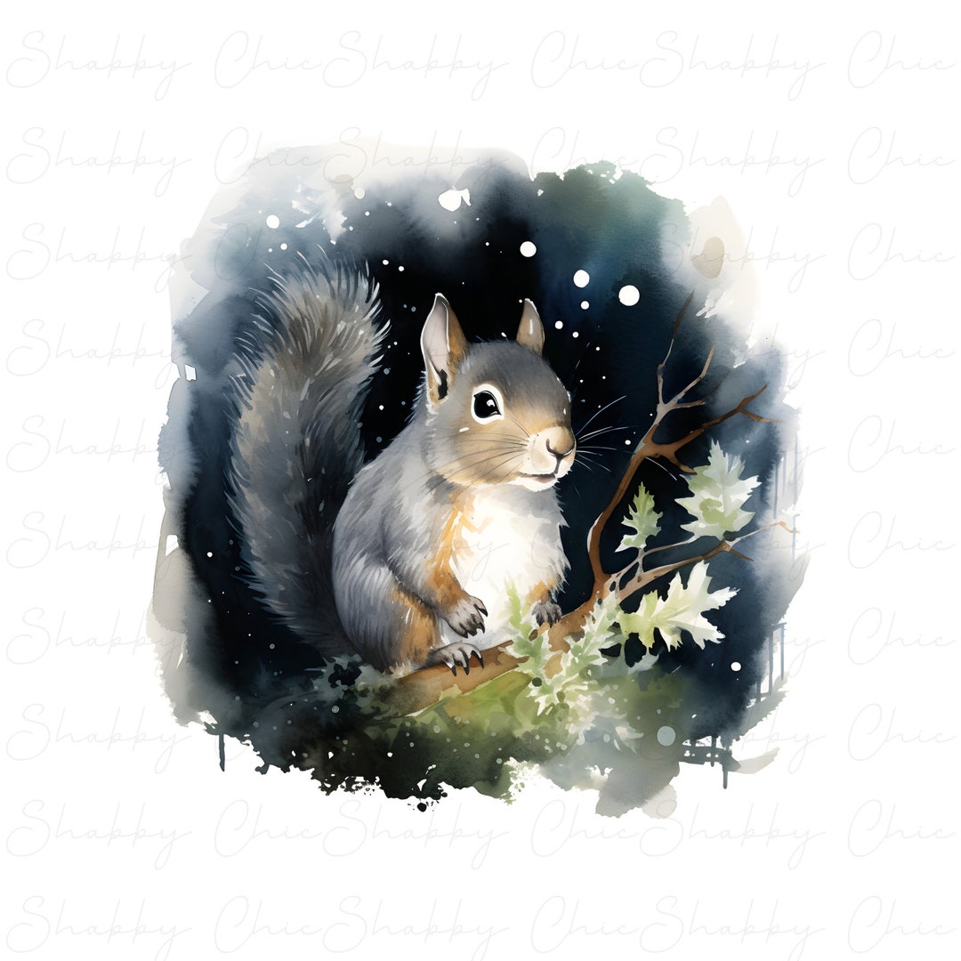 Squirrel Clipart, 4 JPEG Clipart Designs, Watercolour Clipart Graphic ...