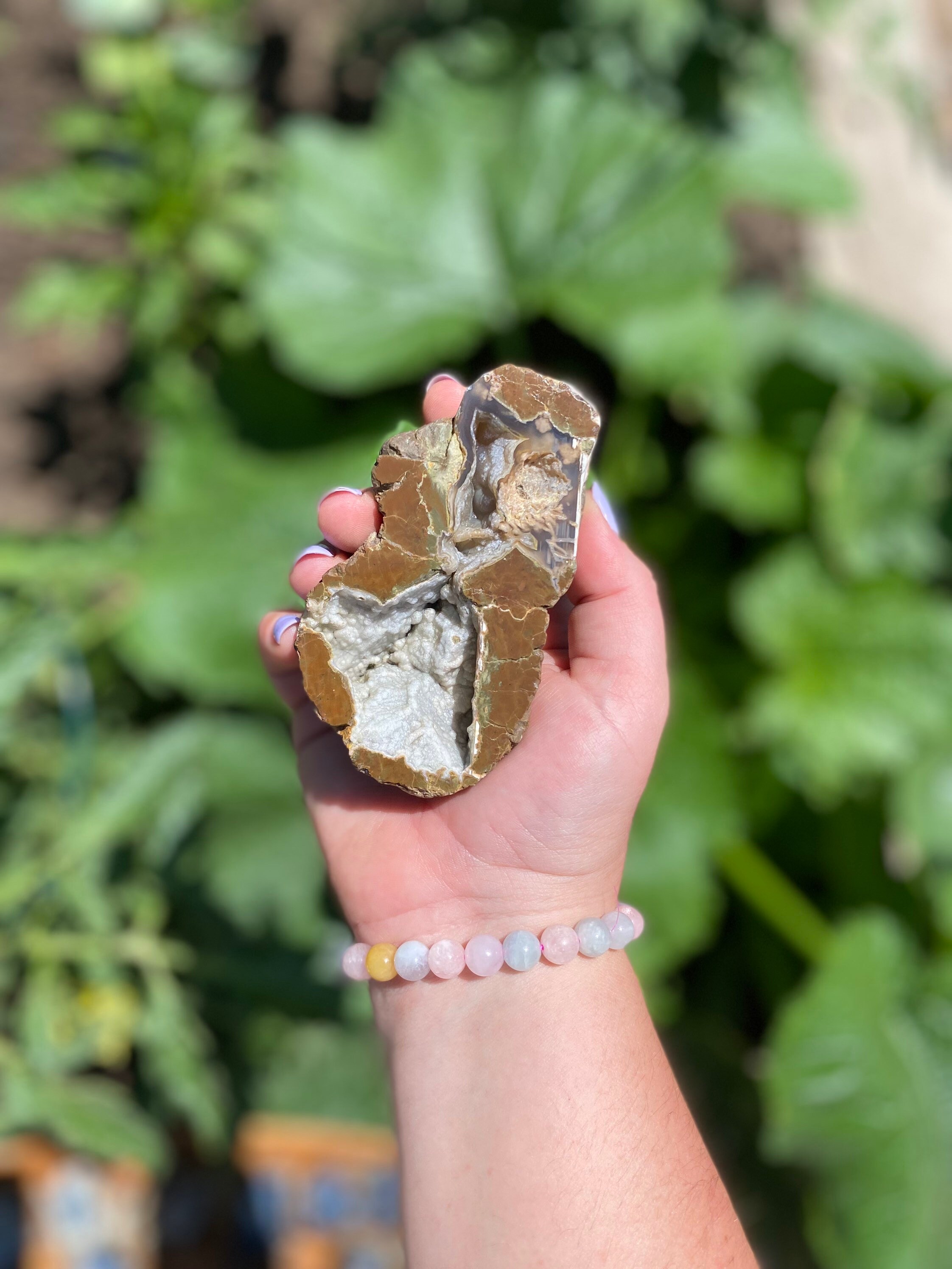 Double Thunder Egg Geode Half Slice Semi-Polished Agate | Etsy