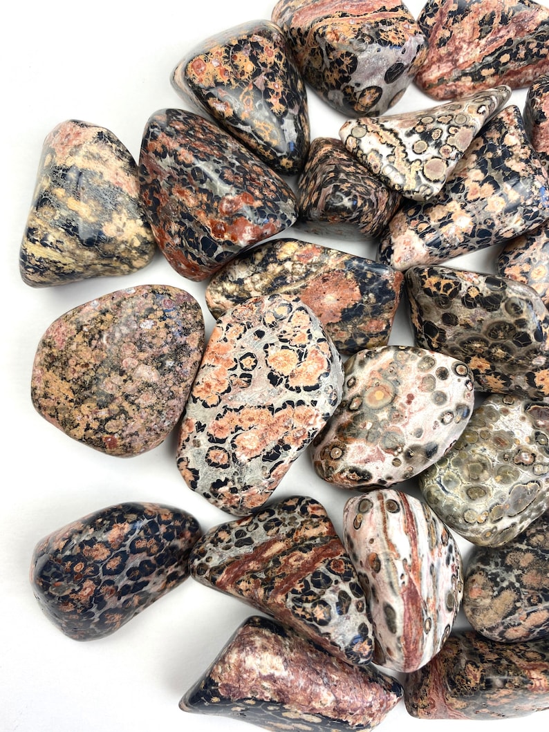 Leopard Skin Jasper Tumbled Stone Jaguar Stone Jasper - Etsy