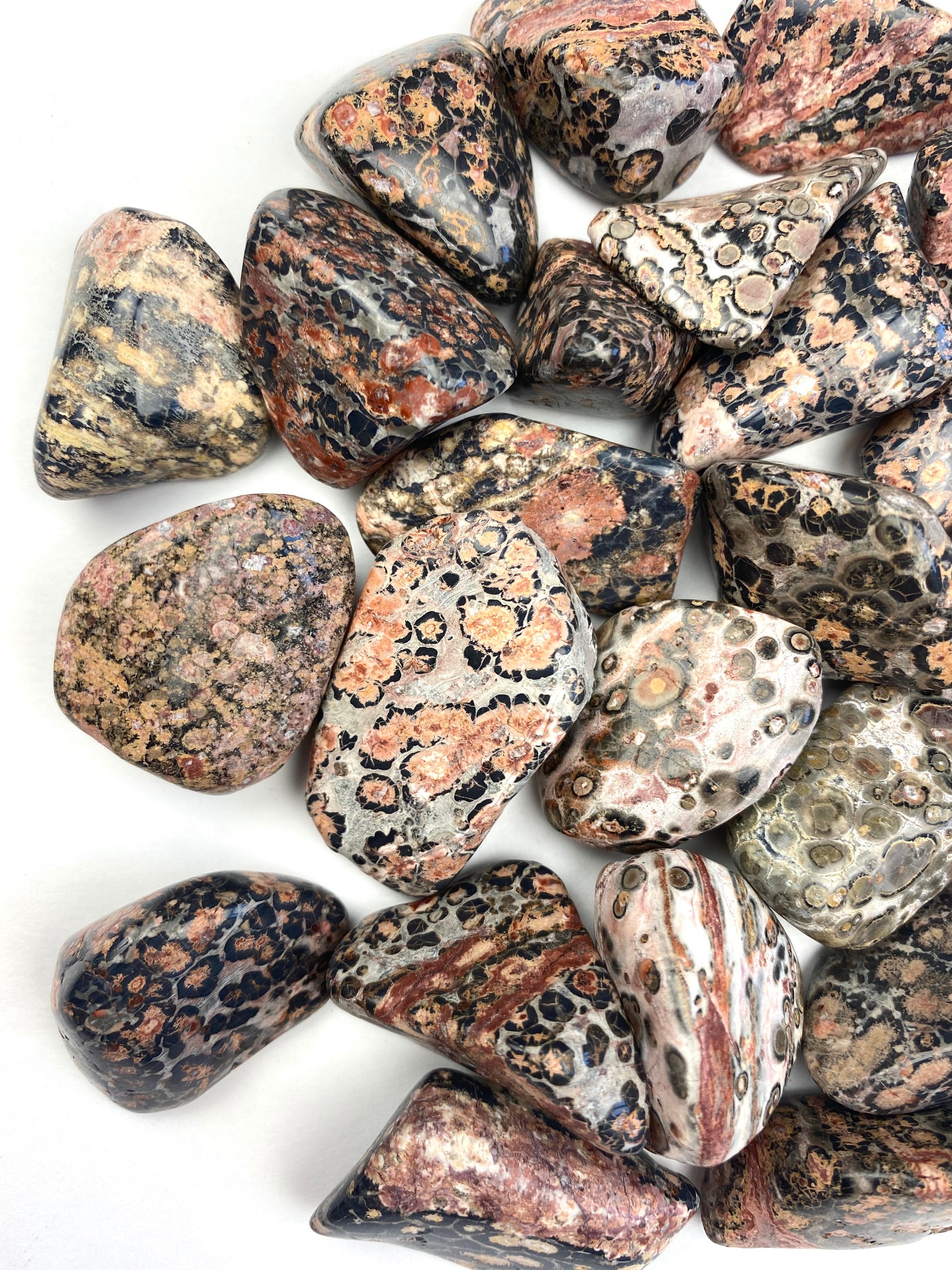 Leopard Skin Jasper Tumbled Stone Jaguar Stone Jasper - Etsy