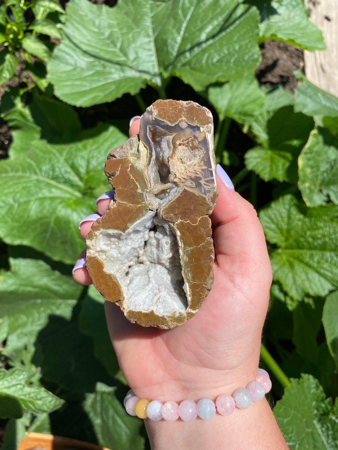 Double Thunder Egg Geode Half Slice - Semi-polished Agate - Mexican ...