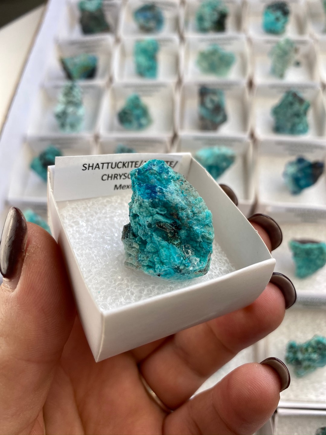 Shattuckite Azurite Chrysocolla Quartz Thumbnail Specimens, Quantum ...