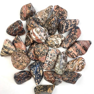 Leopard Skin Jasper Tumbled Stone | Jaguar Stone | Jasper Pocket Stone ...