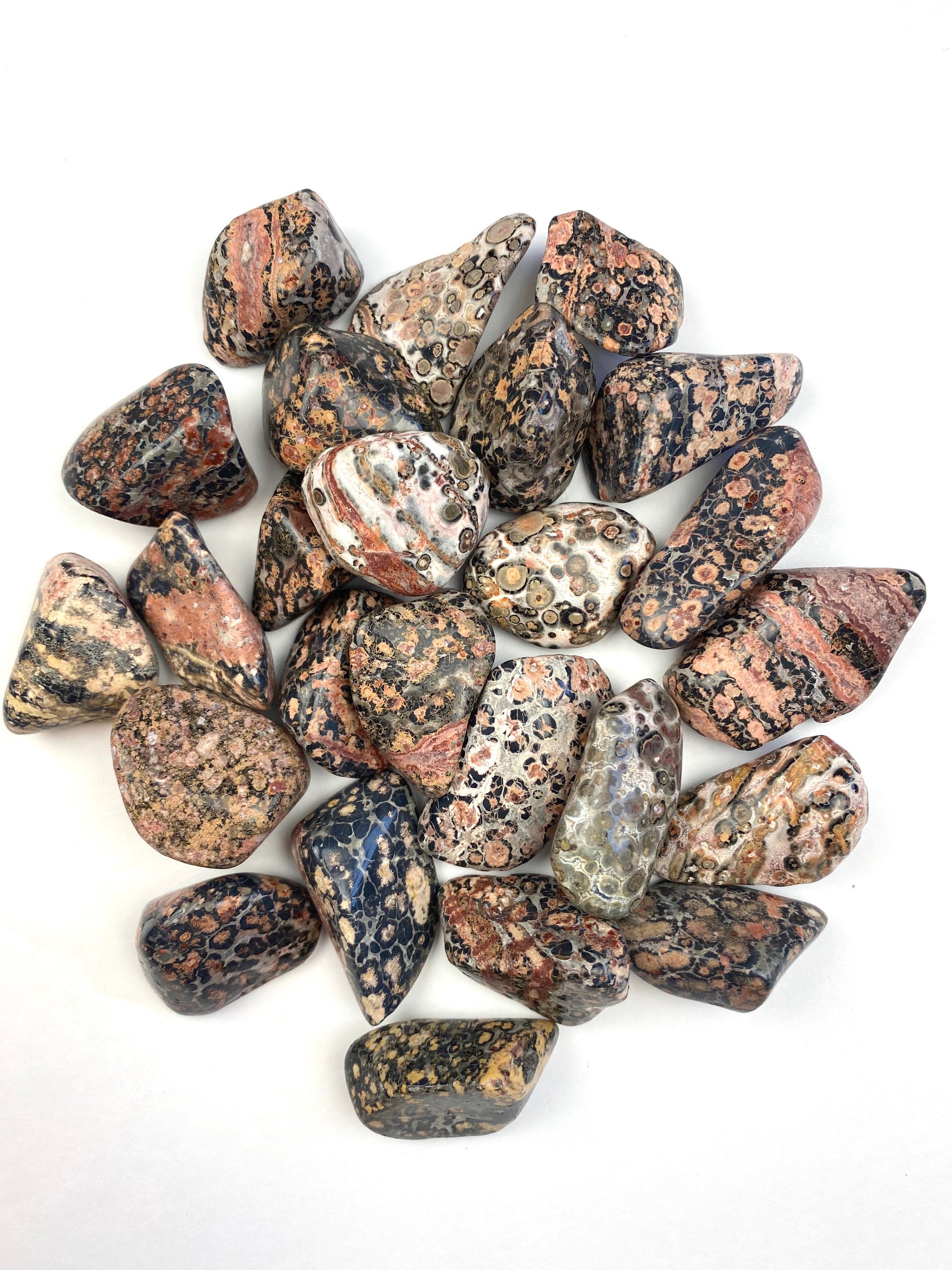 Leopard Skin Jasper Tumbled Stone Jaguar Stone Jasper - Etsy