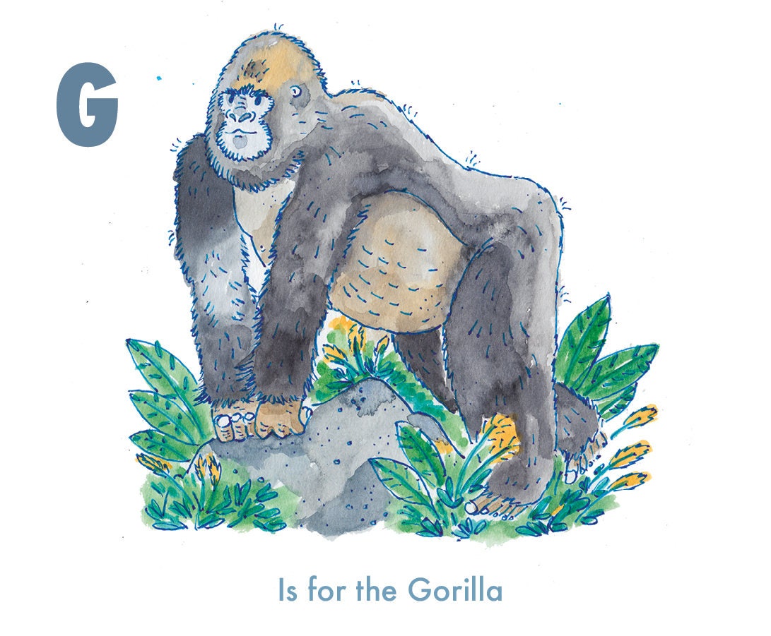 Endangered Animal Alphabet Art Print, Fox Bear Penguin Elephant - Etsy