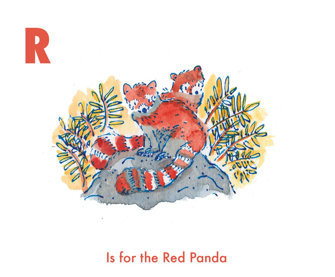 Endangered Animal Alphabet Art Print, Fox Bear Penguin Elephant - Etsy