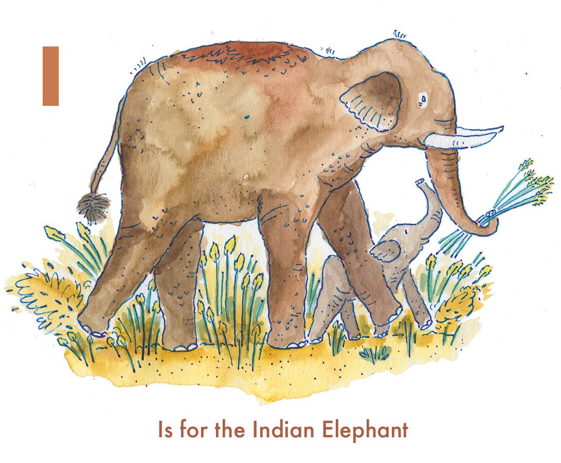 Endangered Animal Alphabet Art Print, Fox Bear Penguin Elephant - Etsy