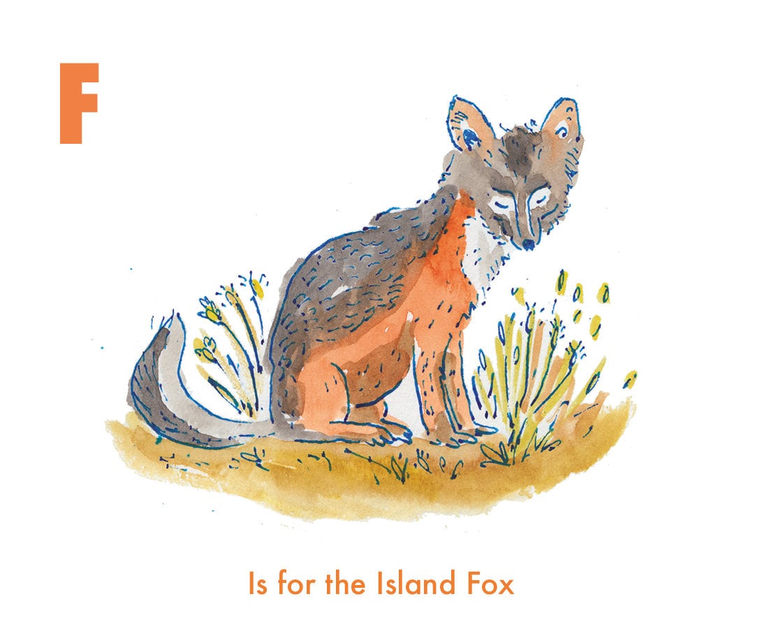Endangered Animal Alphabet Art Print, Fox Bear Penguin Elephant - Etsy