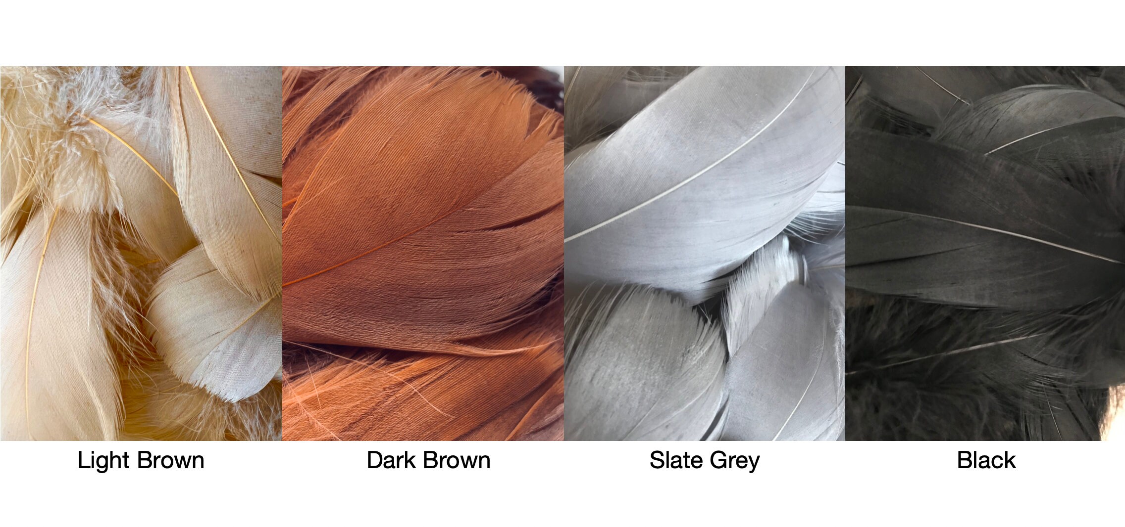 100 Solid Coloured Feathers - Mixed Sizes - Art, Craft, Bubble Balloon ...