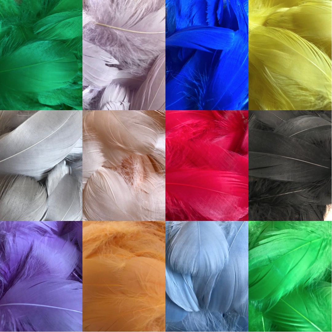 100 Solid Coloured Feathers - Mixed Sizes - Art, Craft, Bubble Balloon ...