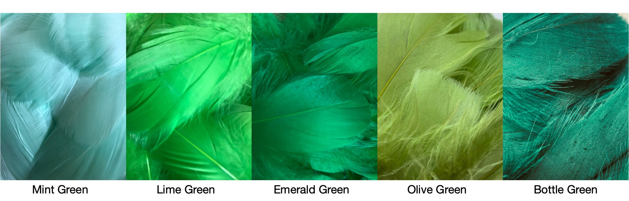 100 Solid Coloured Feathers - Mixed Sizes - Art, Craft, Bubble Balloon ...