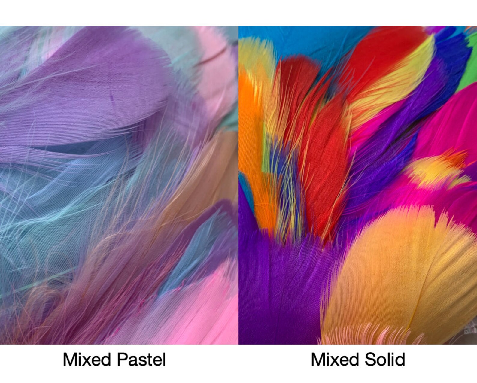 100 Solid Coloured Feathers - Mixed Sizes - Art, Craft, Bubble Balloon ...