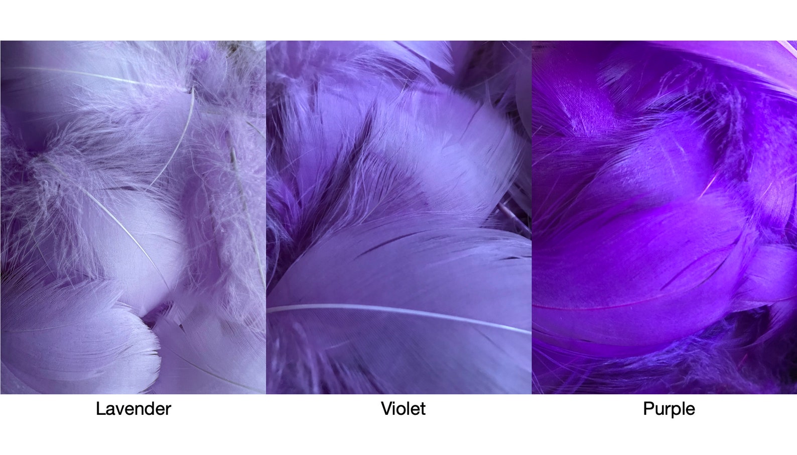 100 Solid Coloured Feathers - Mixed Sizes - Art, Craft, Bubble Balloon ...