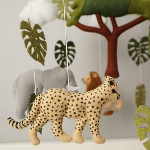 Safari Animals Mobile African Animals Mobile Jungle Animals Mobile ...
