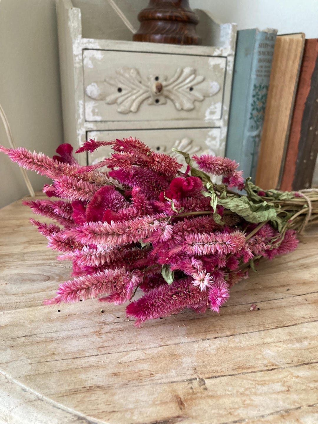 Dried Merlot/burgundy Cockscomb, Burgundy Cockscomb, Dried Cockscomb ...