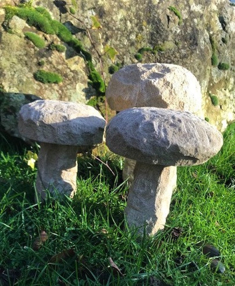 Pair of Derbyshire Stone Mushrooms Stone Toadstool Hand - Etsy