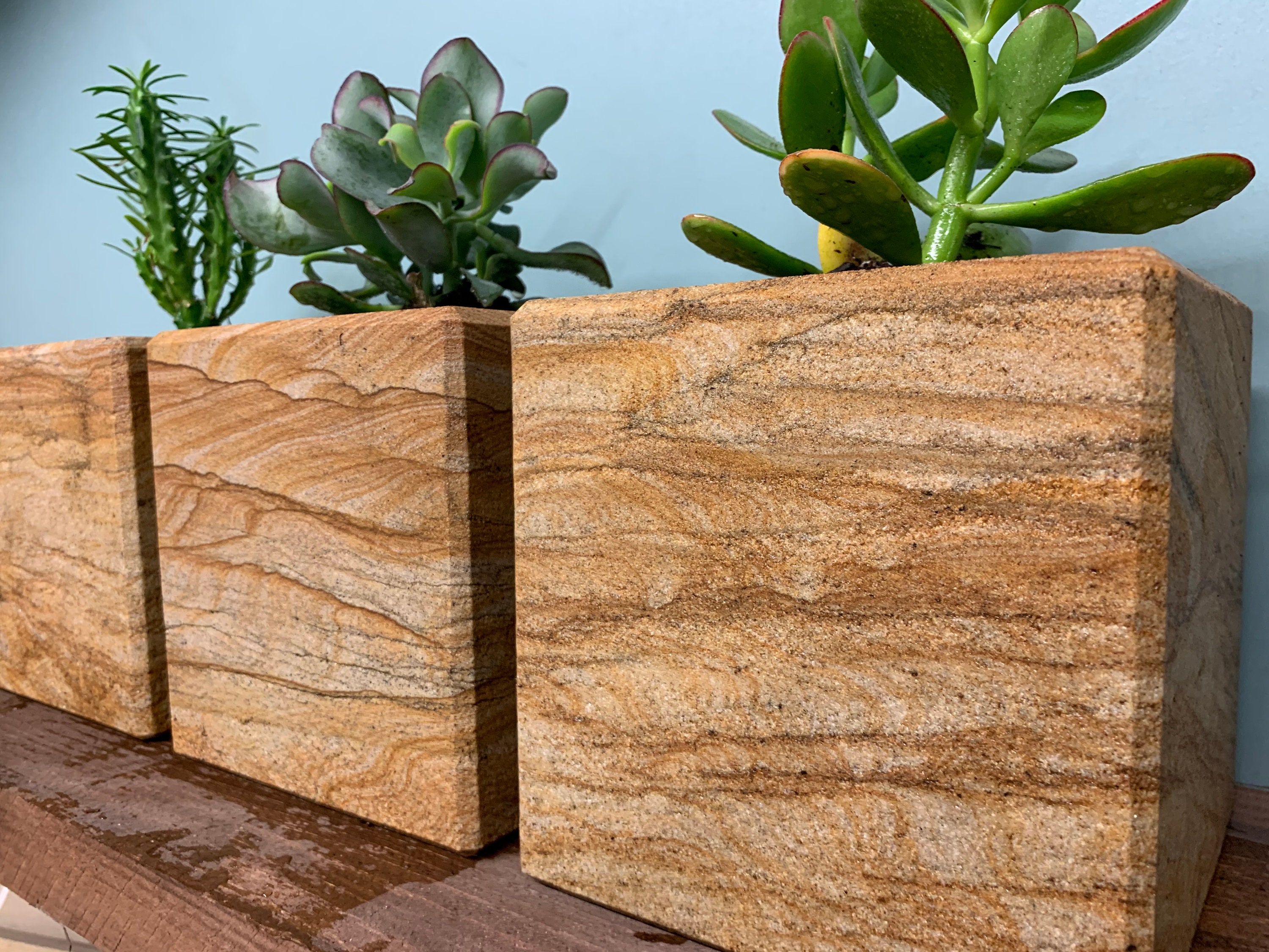 Natural Stone Cacti Planter Succulent Flower Pot Cactus | Etsy