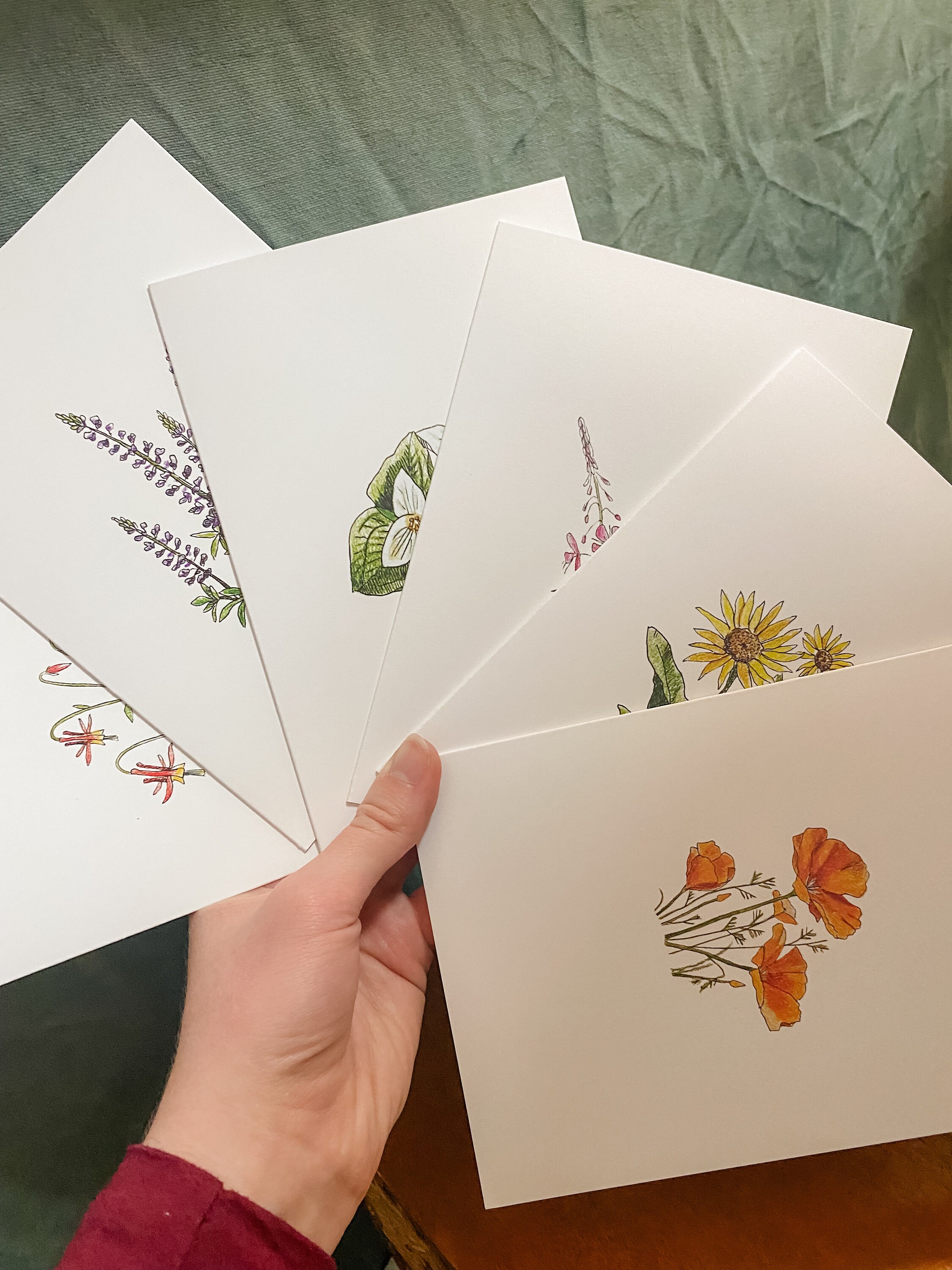 Hand Drawn Wildflower Card Pack of 6 5x7 With White Envelopes - Etsy