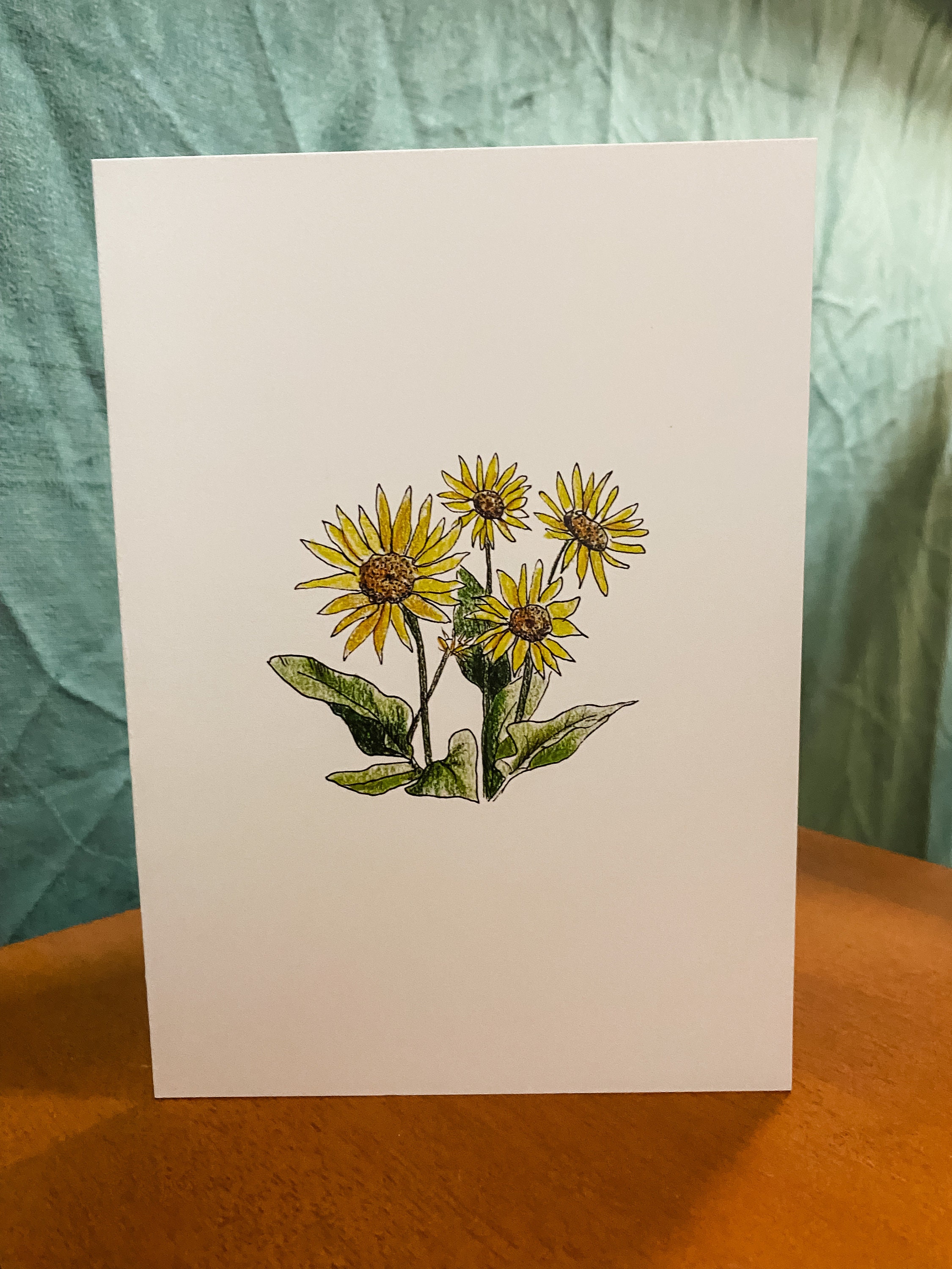 Hand Drawn Wildflower Card Pack of 6 5x7 With White Envelopes - Etsy