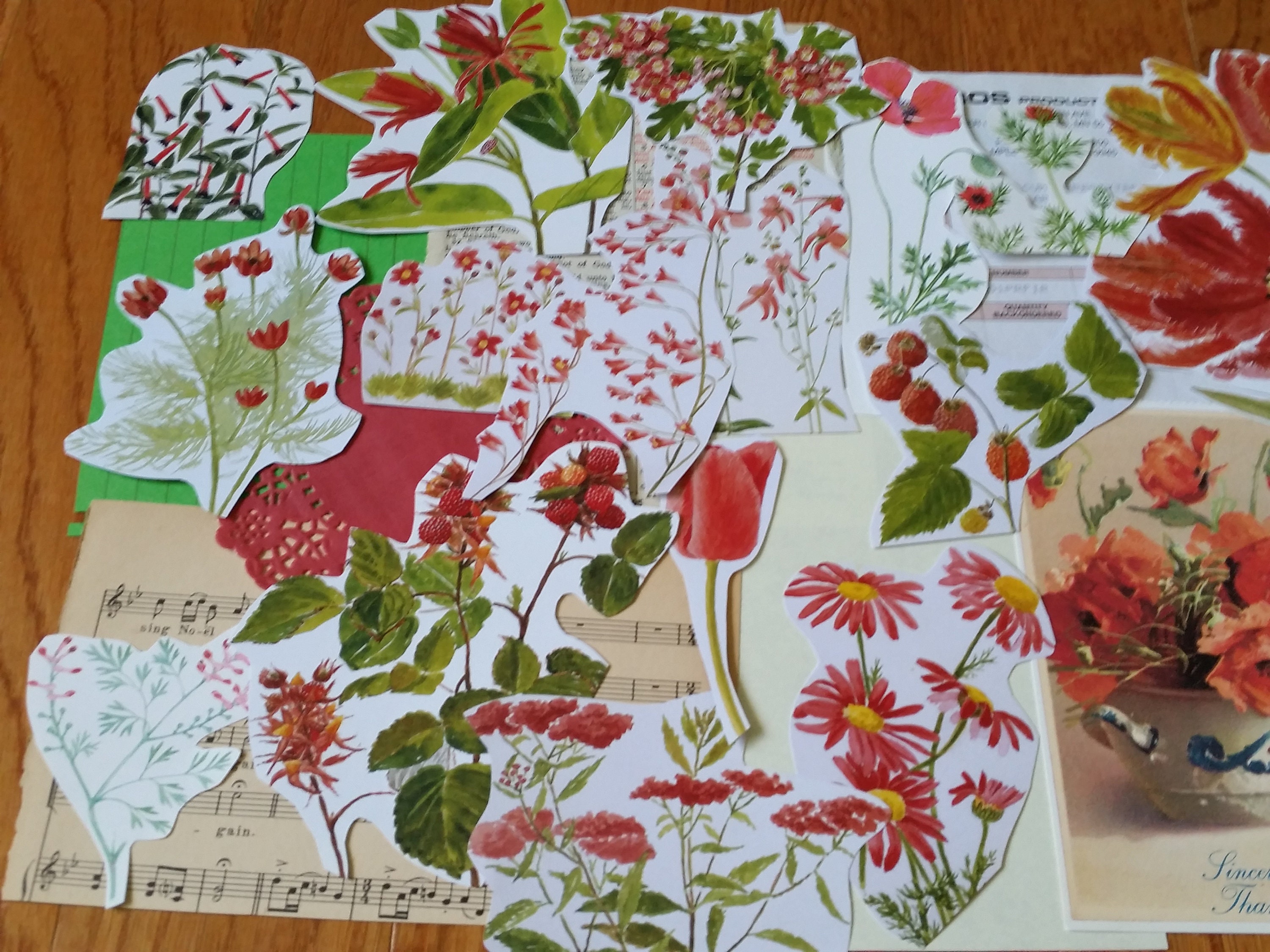 Unique Vintage Red Flower Botany Ephemera Pack Paper Ephemera - Etsy
