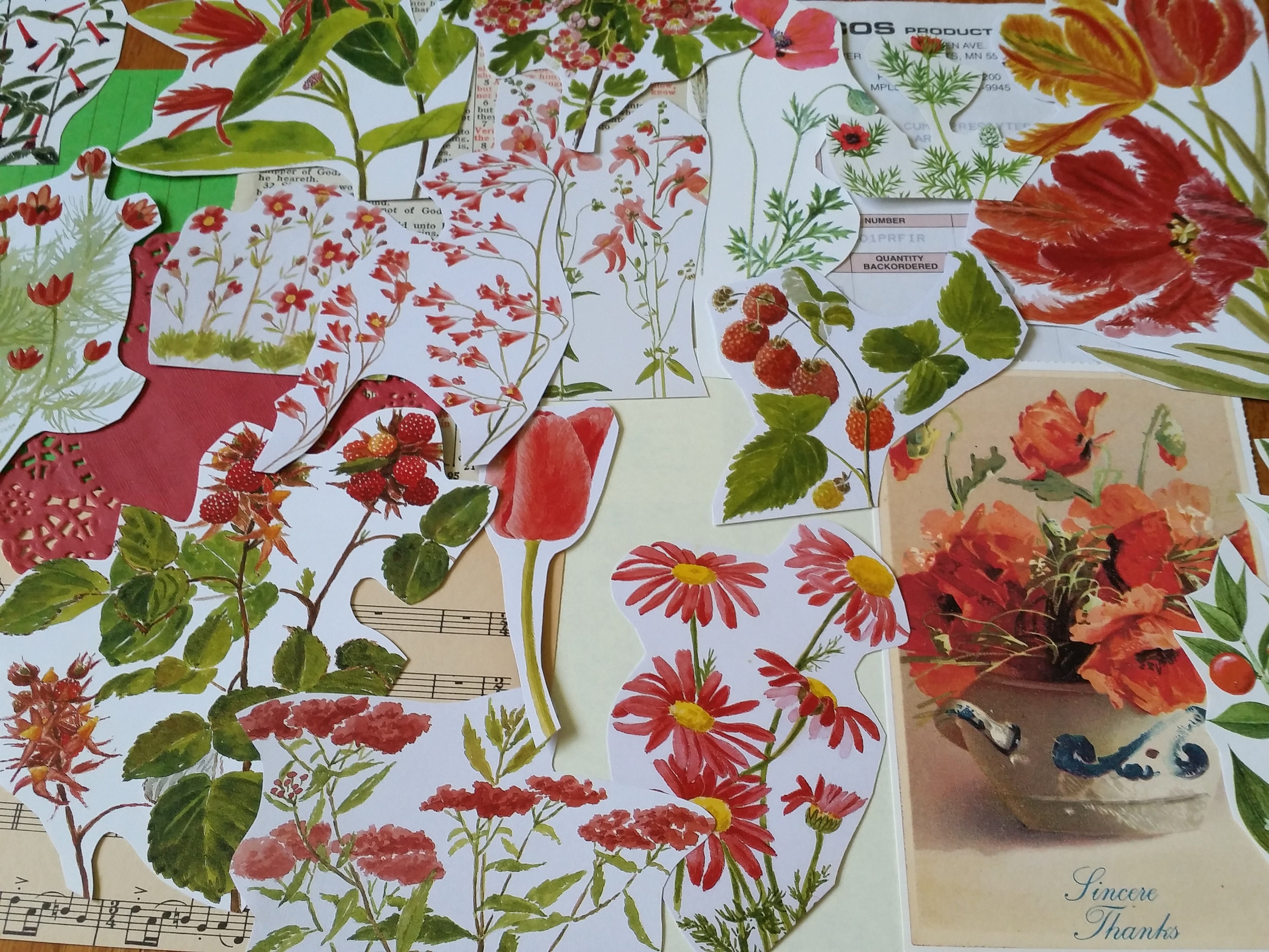 Unique Vintage Red Flower Botany Ephemera Pack, Paper Ephemera Lot ...