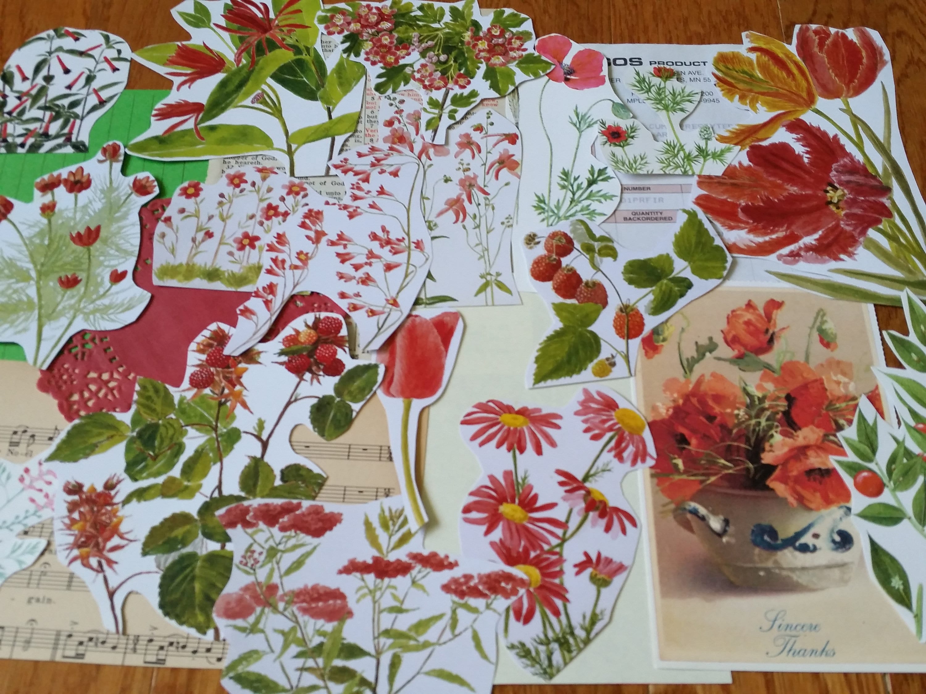Unique Vintage Red Flower Botany Ephemera Pack Paper Ephemera - Etsy