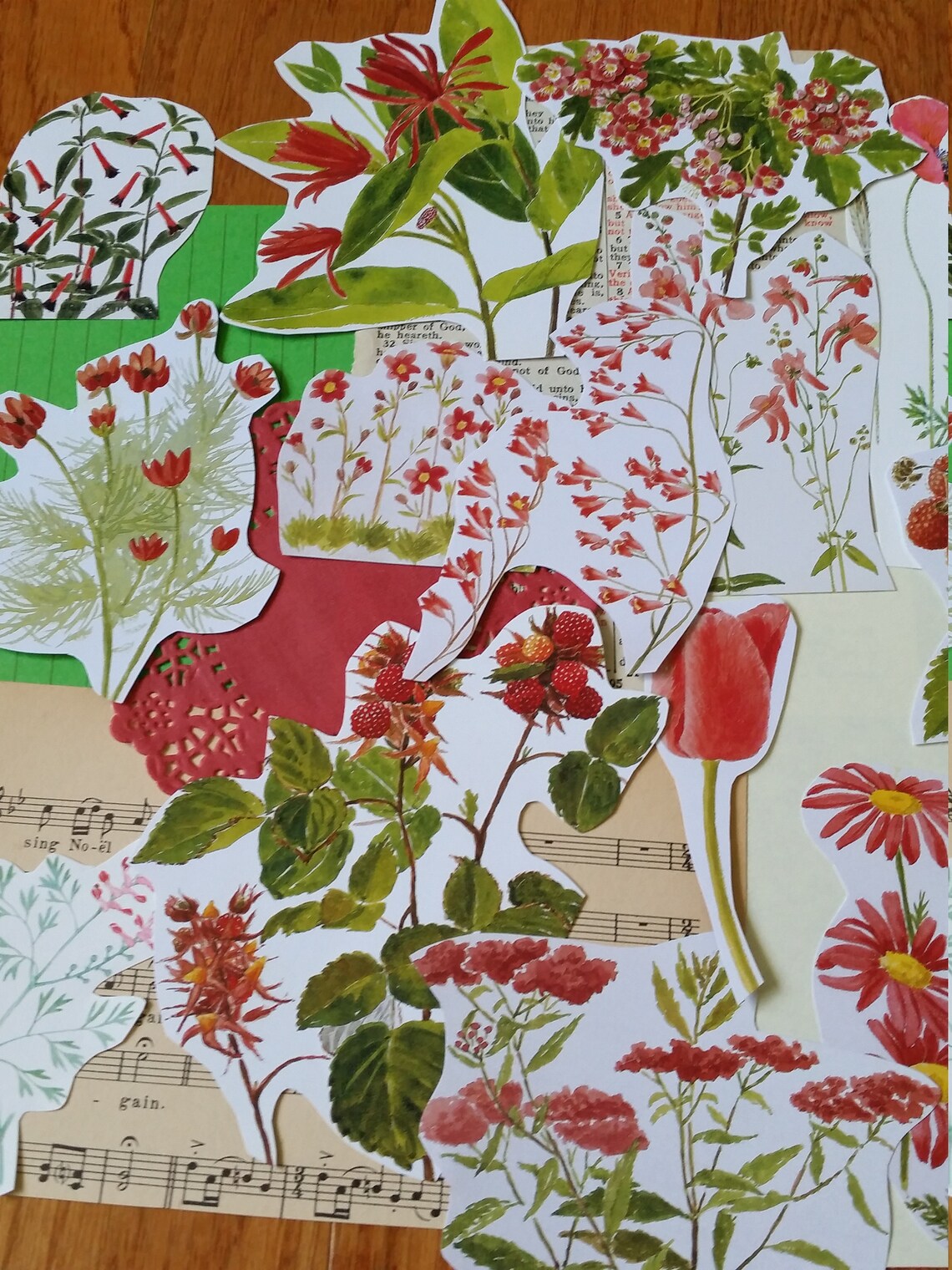 Unique Vintage Red Flower Botany Ephemera Pack Paper Ephemera - Etsy