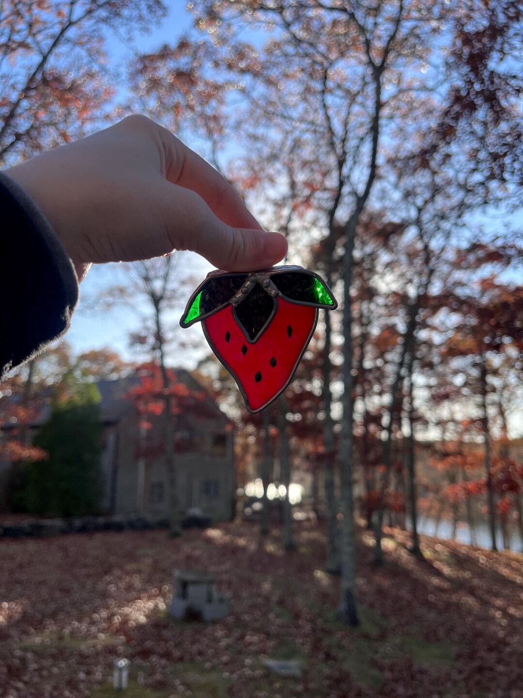 Stained Glass Suncatcher Berry Home Decor - Etsy