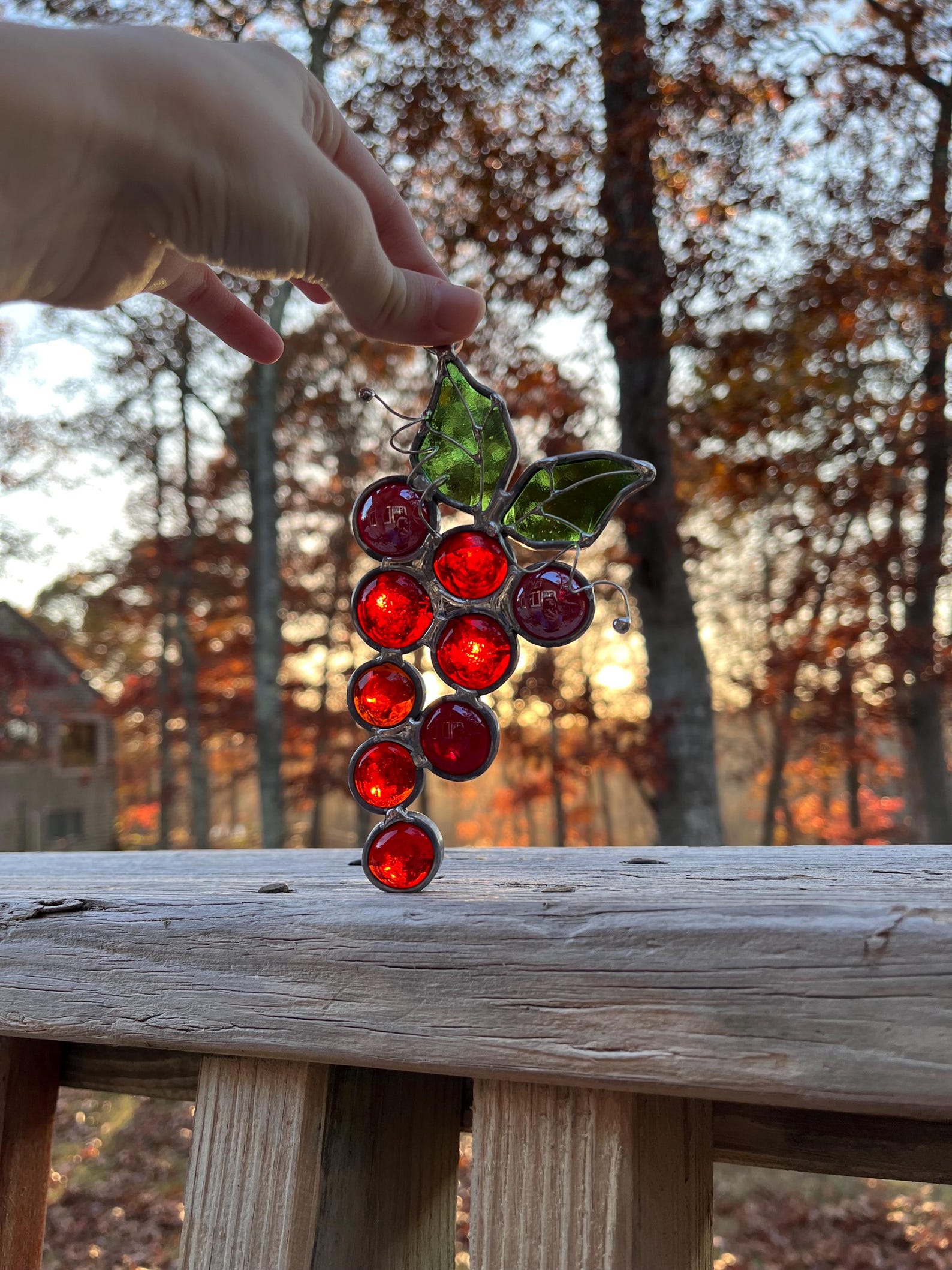 Stained Glass Suncatcher Red Grapes Window Decor Home Decor - Etsy