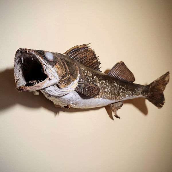 Zombie Fish - Etsy