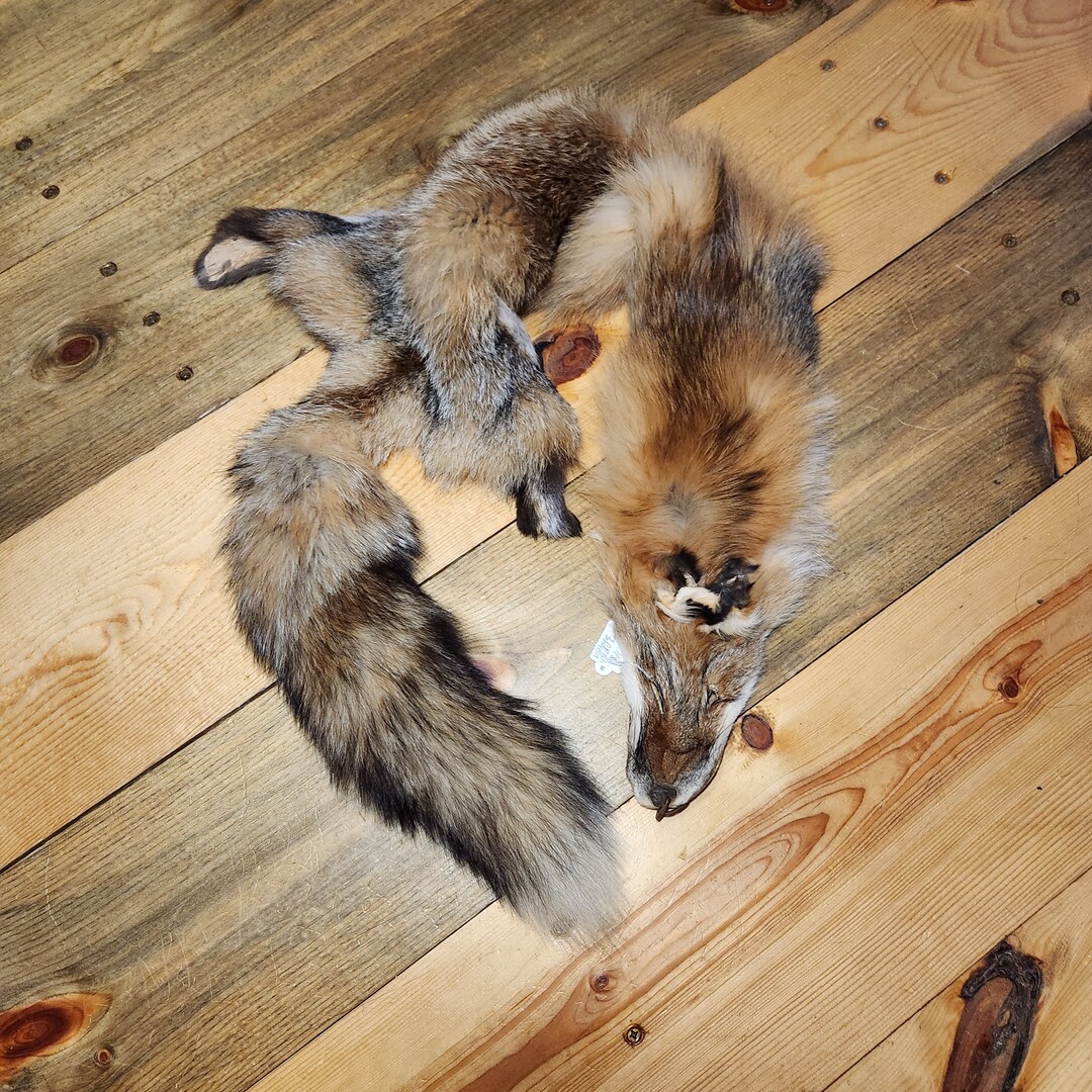Real Red Fox Silver Fox Cross Pelt Super Soft Real Fur Pelt - Etsy