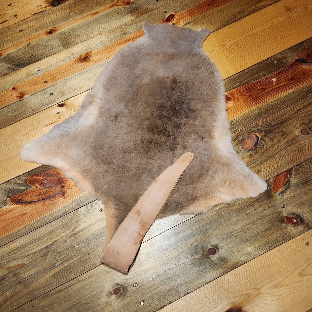 4.5' Real Kangaroo Pelt Kangaroo Skin Rug Real Fur - Etsy