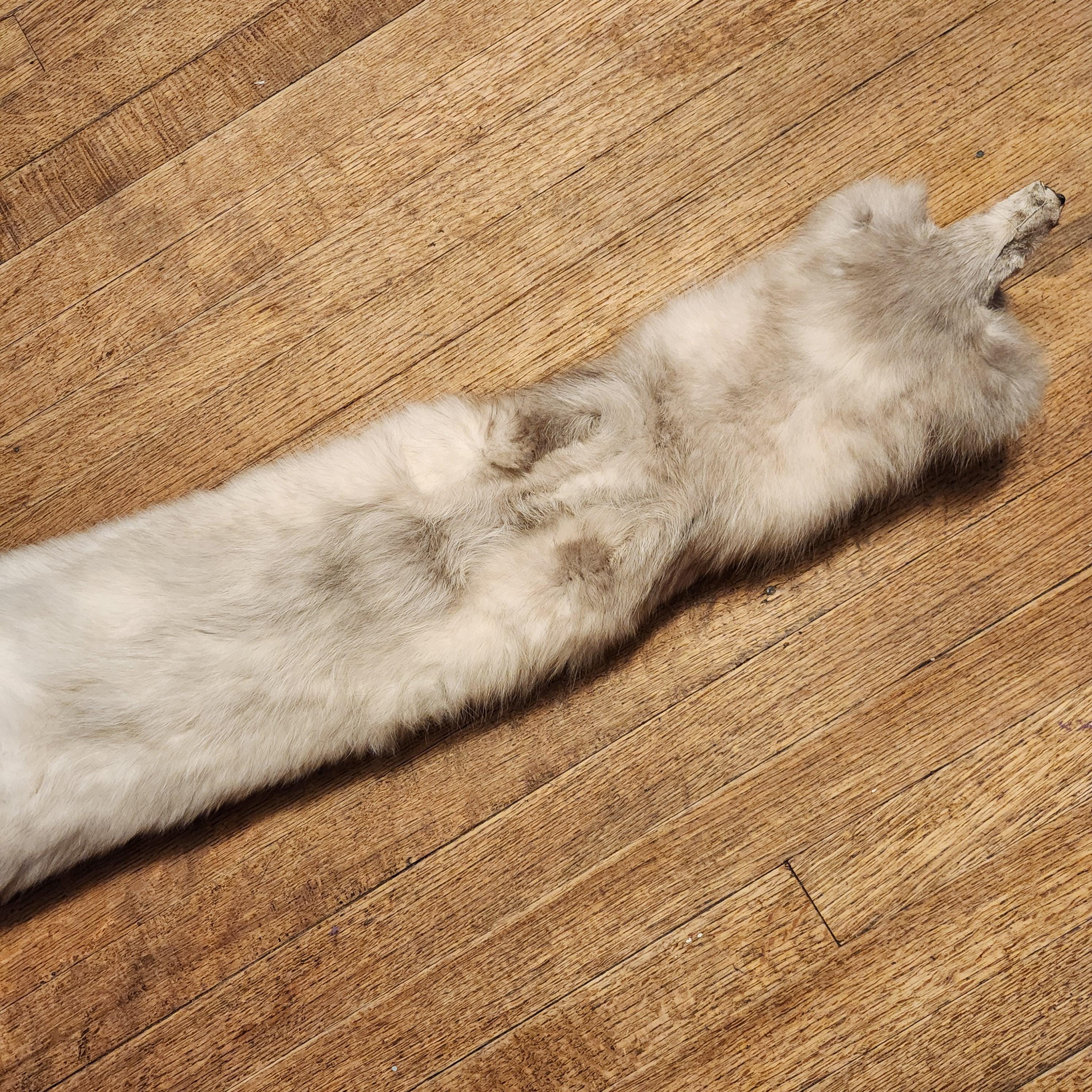 Vintage Blue Fox Pelt Stole With Chin Clip 1940s 1950s 1960s Real ...
