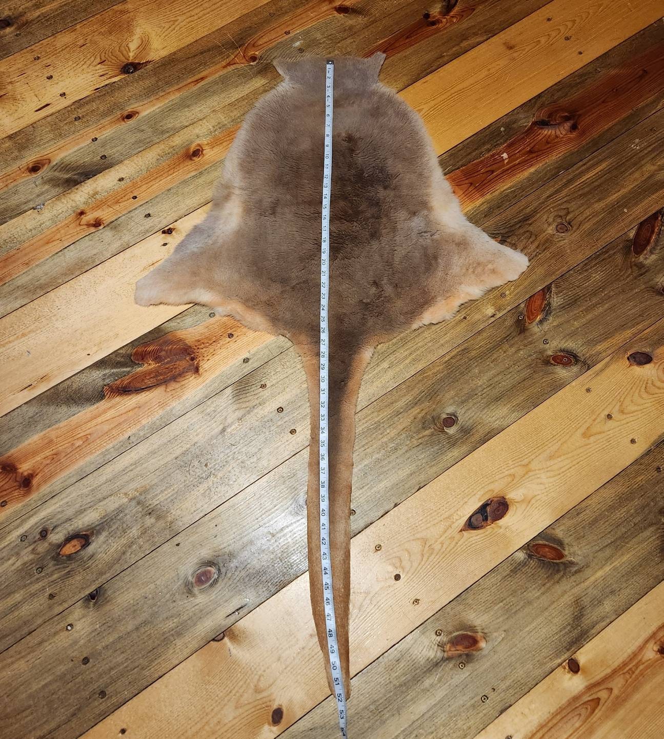 4.5' Real Kangaroo Pelt Kangaroo Skin Rug Real Fur - Etsy