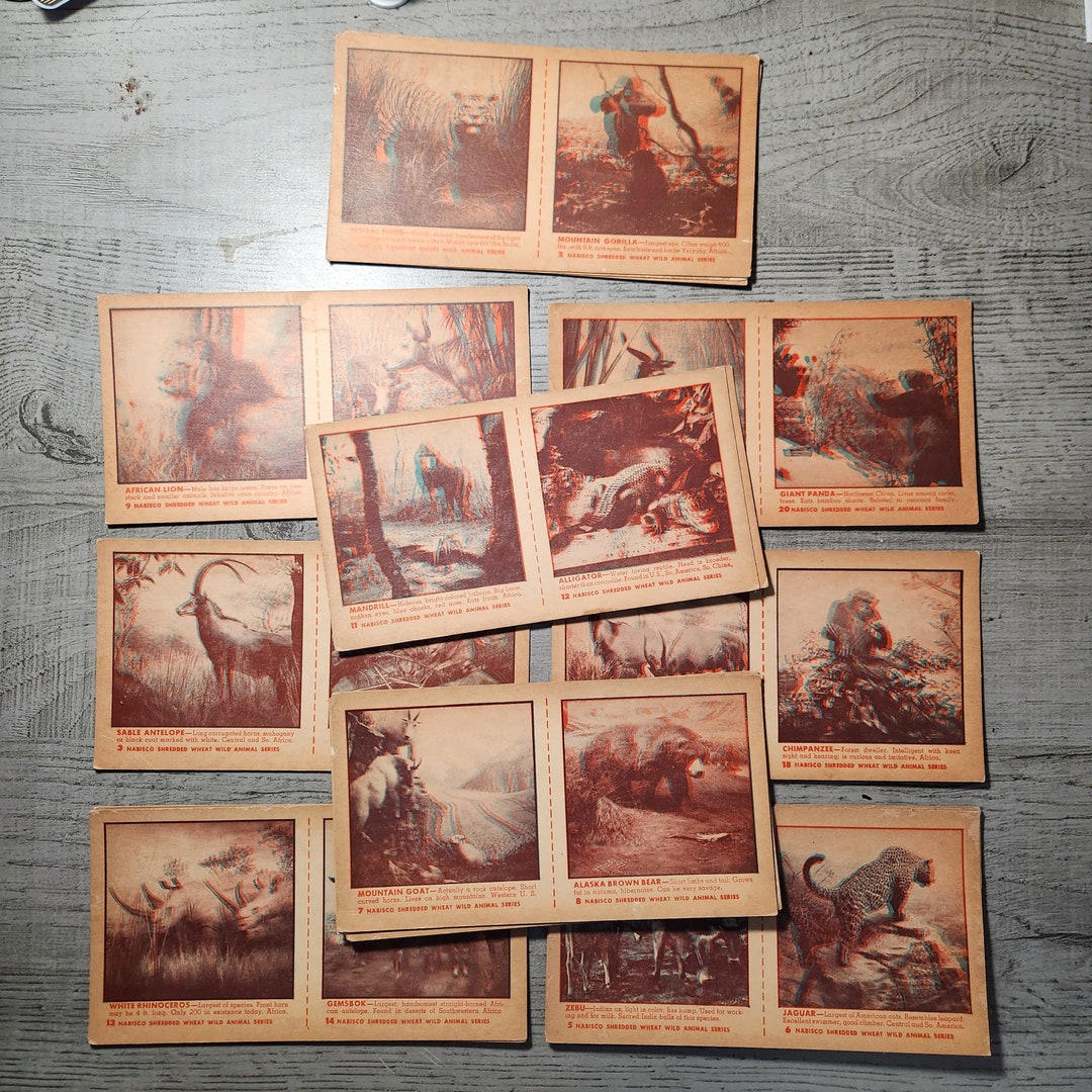 Vintage Viewmaster 3D Slides 18 Piece Set Some Duplicates Wild Animals ...