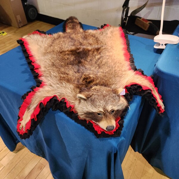 Real Bear Skin Rug - Etsy