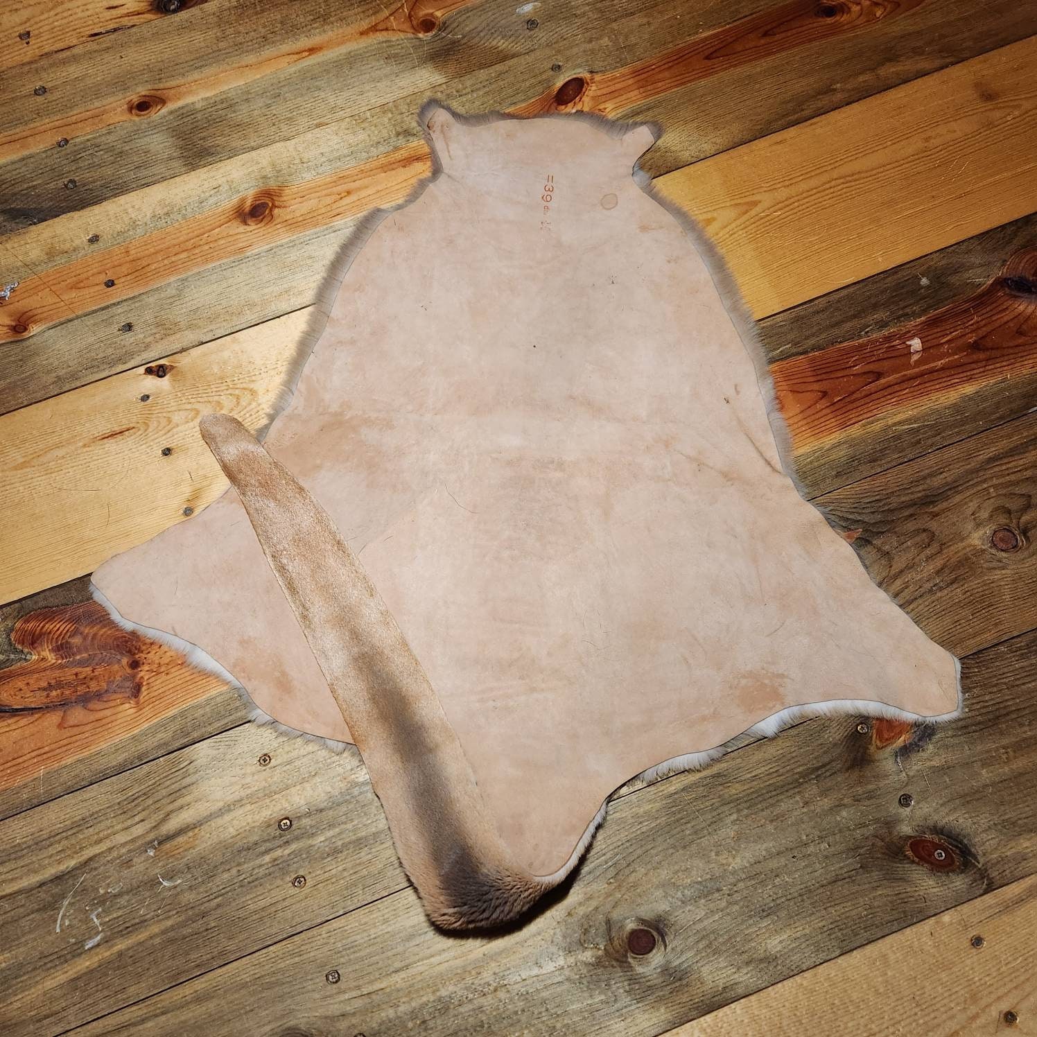 4.5' Real Kangaroo Pelt Kangaroo Skin Rug Real Fur - Etsy