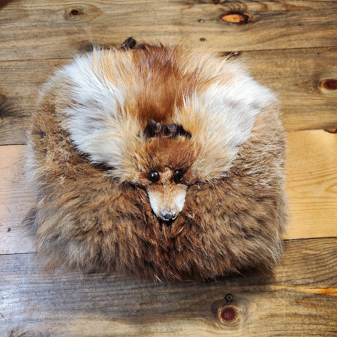 Vintage Red Fox Fur Muff XL Real Fur Muff 1920s 1930s 1940s Real Fox ...