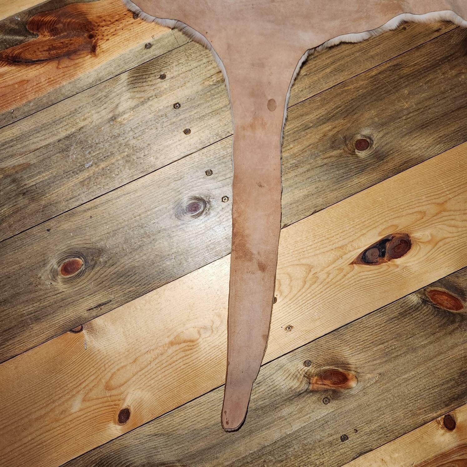 4.5' Real Kangaroo Pelt Kangaroo Skin Rug Real Fur - Etsy