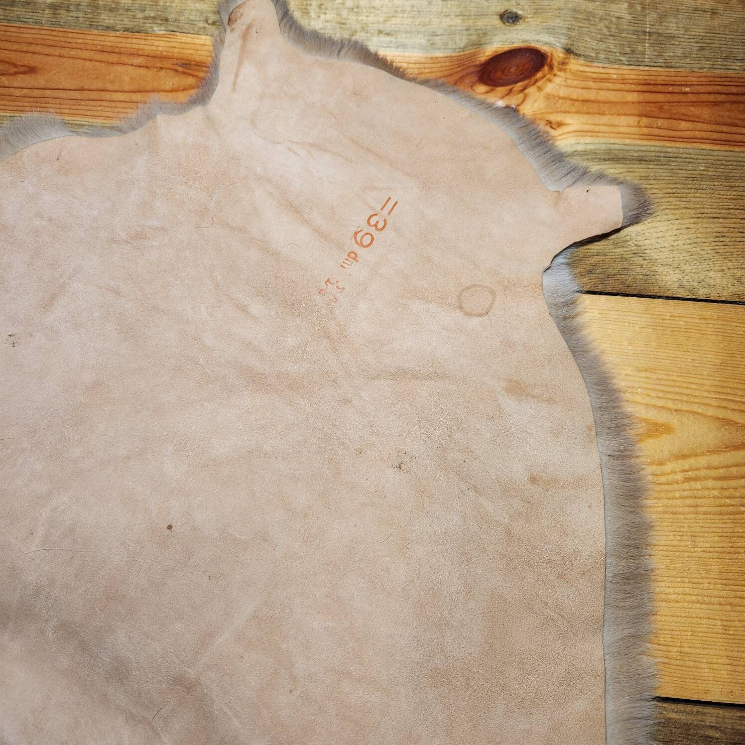 4.5' Real Kangaroo Pelt Kangaroo Skin Rug Real Fur - Etsy