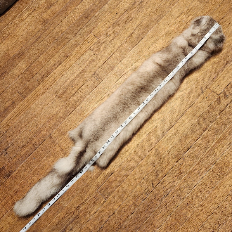 Vintage Blue Fox Pelt Stole With Chin Clip 1940s 1950s 1960s Real ...