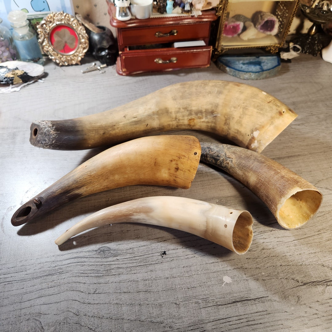 Set of Four Cow Horns for Crafts/project Use Real Cow Horn Mismatched ...